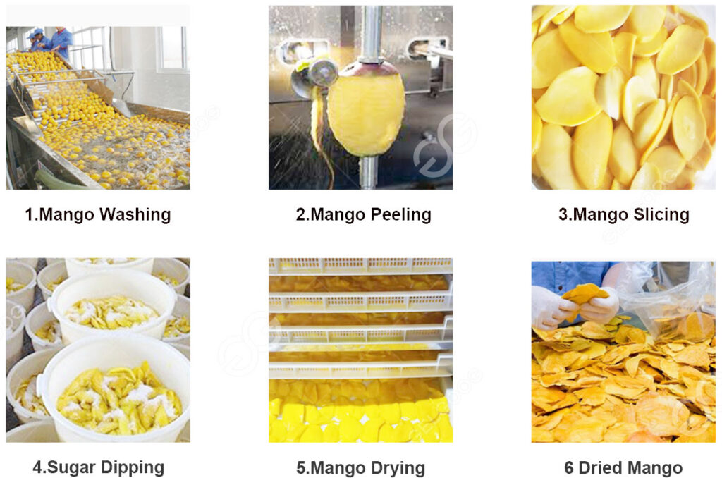 Fully Automatic Dried Mango Fruits Processing Machine
