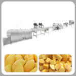 Mango Processing Solution Provider | From AtoZ
