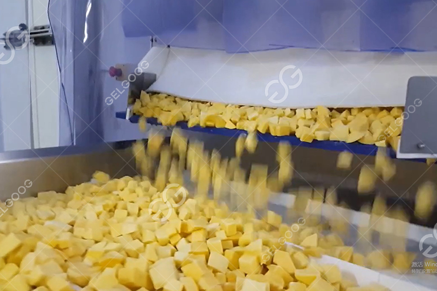 How To Make IQF Frozen Mango