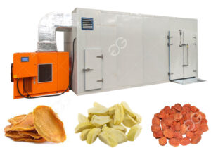 Commercial Mango Fruit Drying Dehydrator Machine