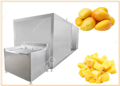 Mango Processing Solution Provider | From AtoZ