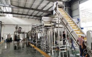 How Is Mango Juice Made in Industry?