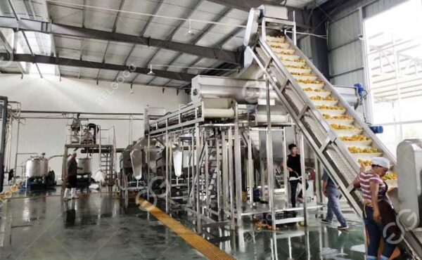 How Is Mango Juice Made in Industry?