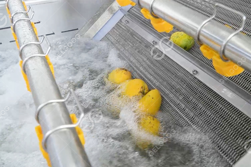 Mango Washing Machine Philippine