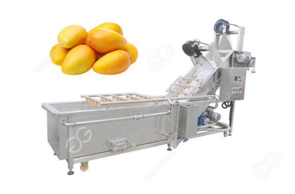 Stainless Steel Mango Fruit Cleaning Washing Machine