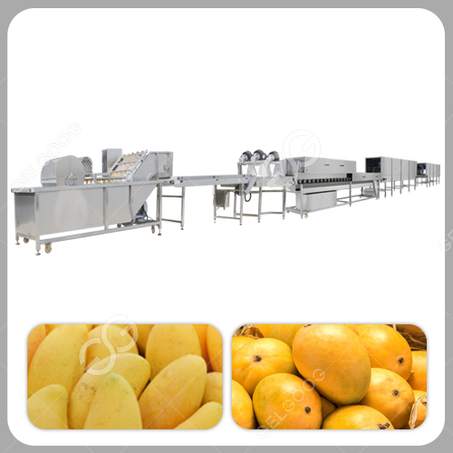 Mango Processing Solution Provider | From AtoZ