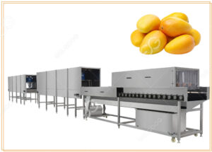 Mango Processing Solution Provider | From AtoZ