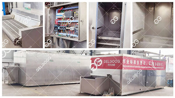 IQF Tunnel Freezer Mango Frozen Machine
