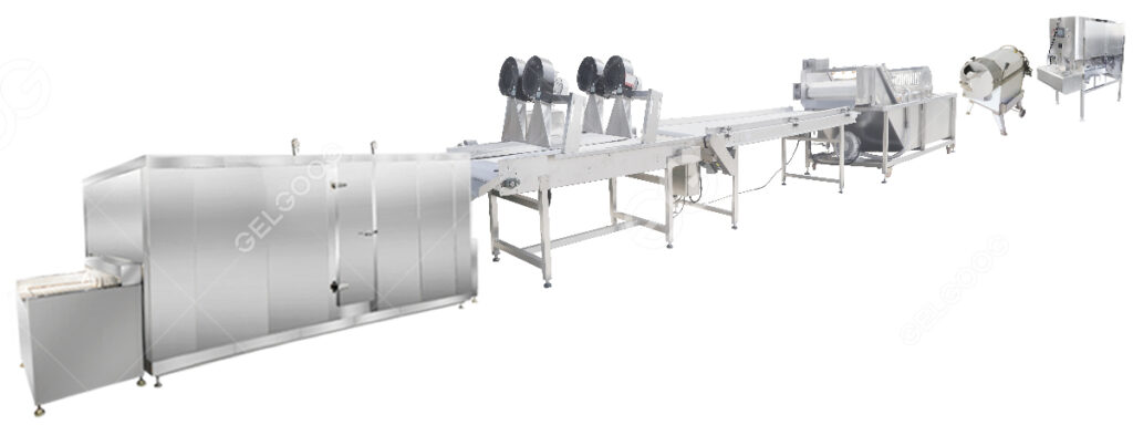 New Design IQF Frozen Mango Processing Plant