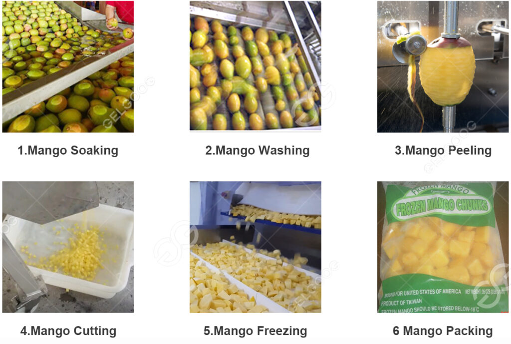 New Design IQF Frozen Mango Processing Plant