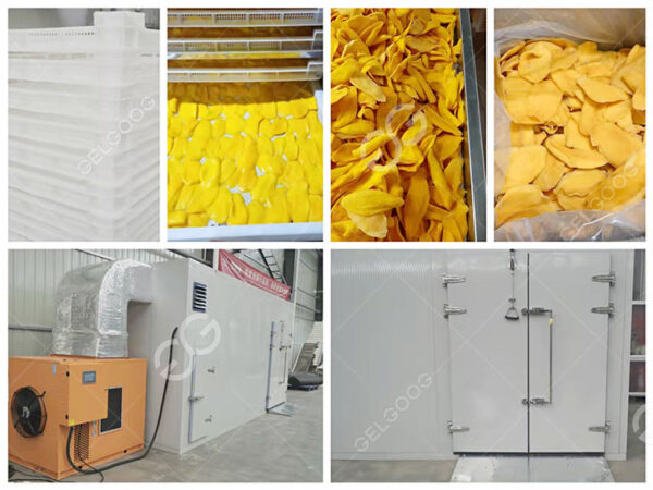 Commercial Mango Fruit Drying Dehydrator Machine