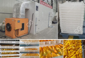 Fully Automatic Dried Mango Fruits Processing Machine