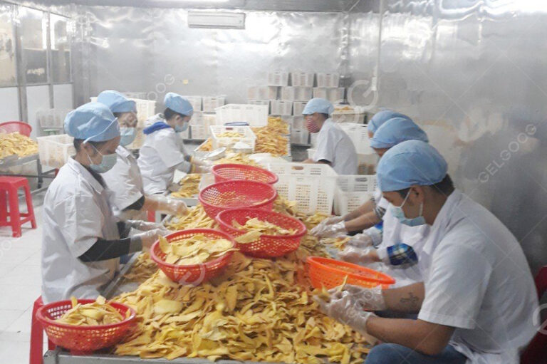 Mango Washing Machine Philippine