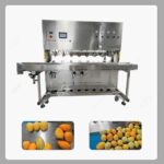 Mango processing machine manfacturer