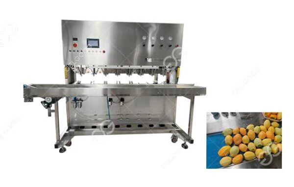 Industrial Mango Fruits Peeling Machine