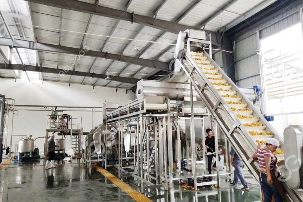 Industrial Mango Fruit Pulp Processing Machinery Plant
