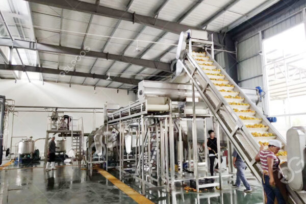 Industrial Mango Fruit Pulp Processing Machinery Plant