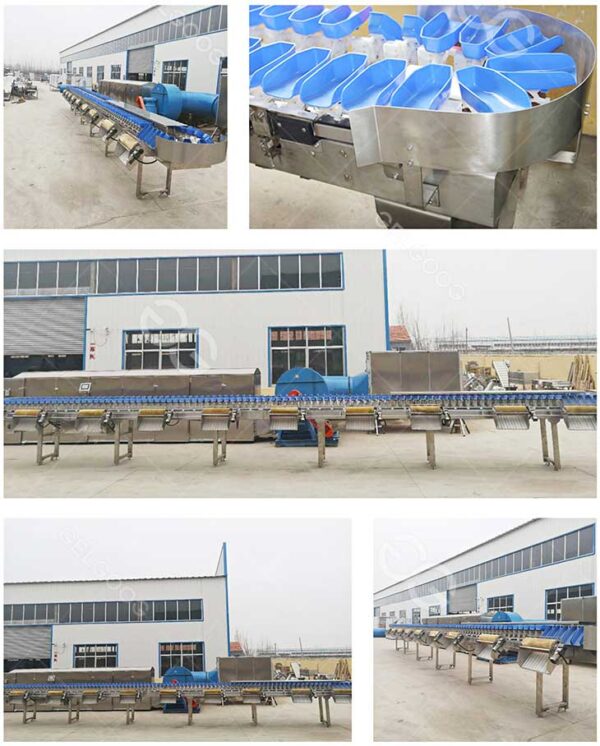 Mango Fruits Sorting Grading Machine For Sale