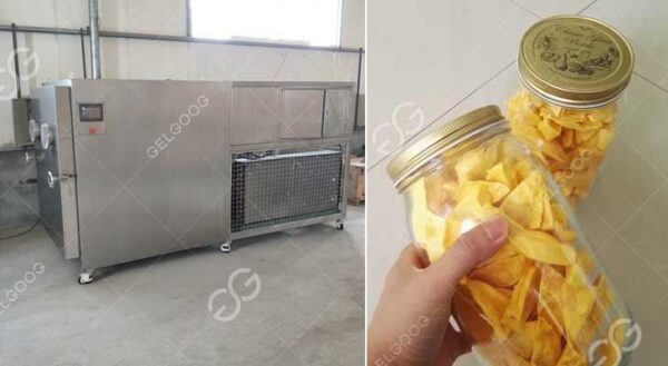 How is freeze-dried mango made?