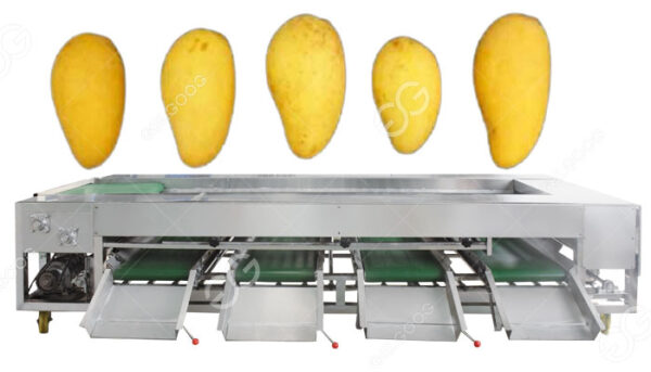 Automatic Mango Fruit Sorting Machine