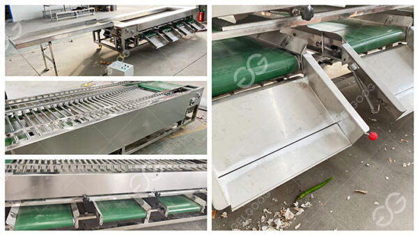 Automatic Mango Fruit Sorting Machine