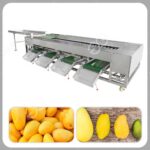 Mango processing machine manfacturer
