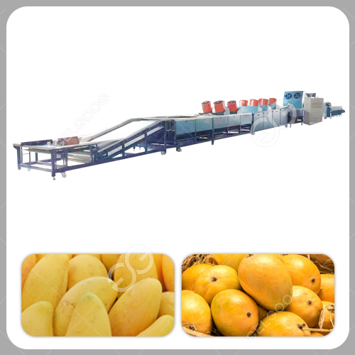 Automatic Mango Fruits Washing Waxing Drying Grading Line