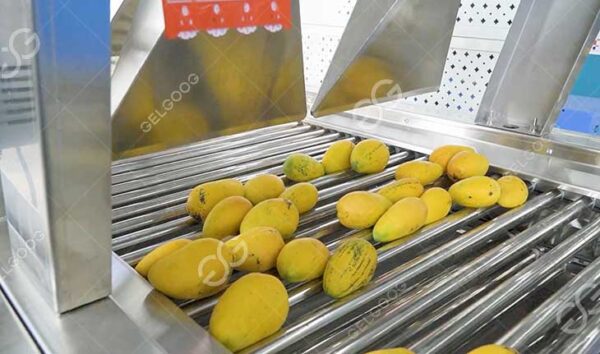 Cost Of Mango Washing Machine
