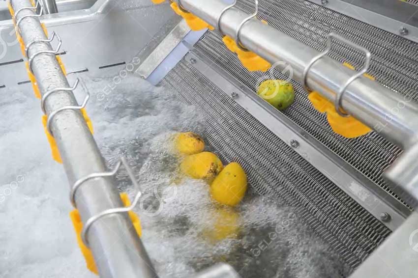 Cost Of Mango Washing Machine