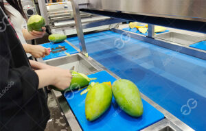 What Are The Processing Methods Of Mango In A Factory?
