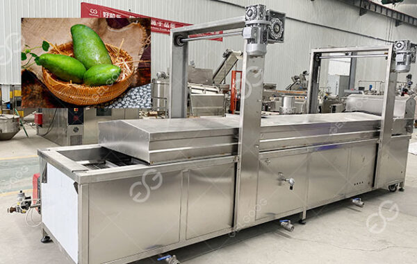 Mango Blanching Machine Factory Customization